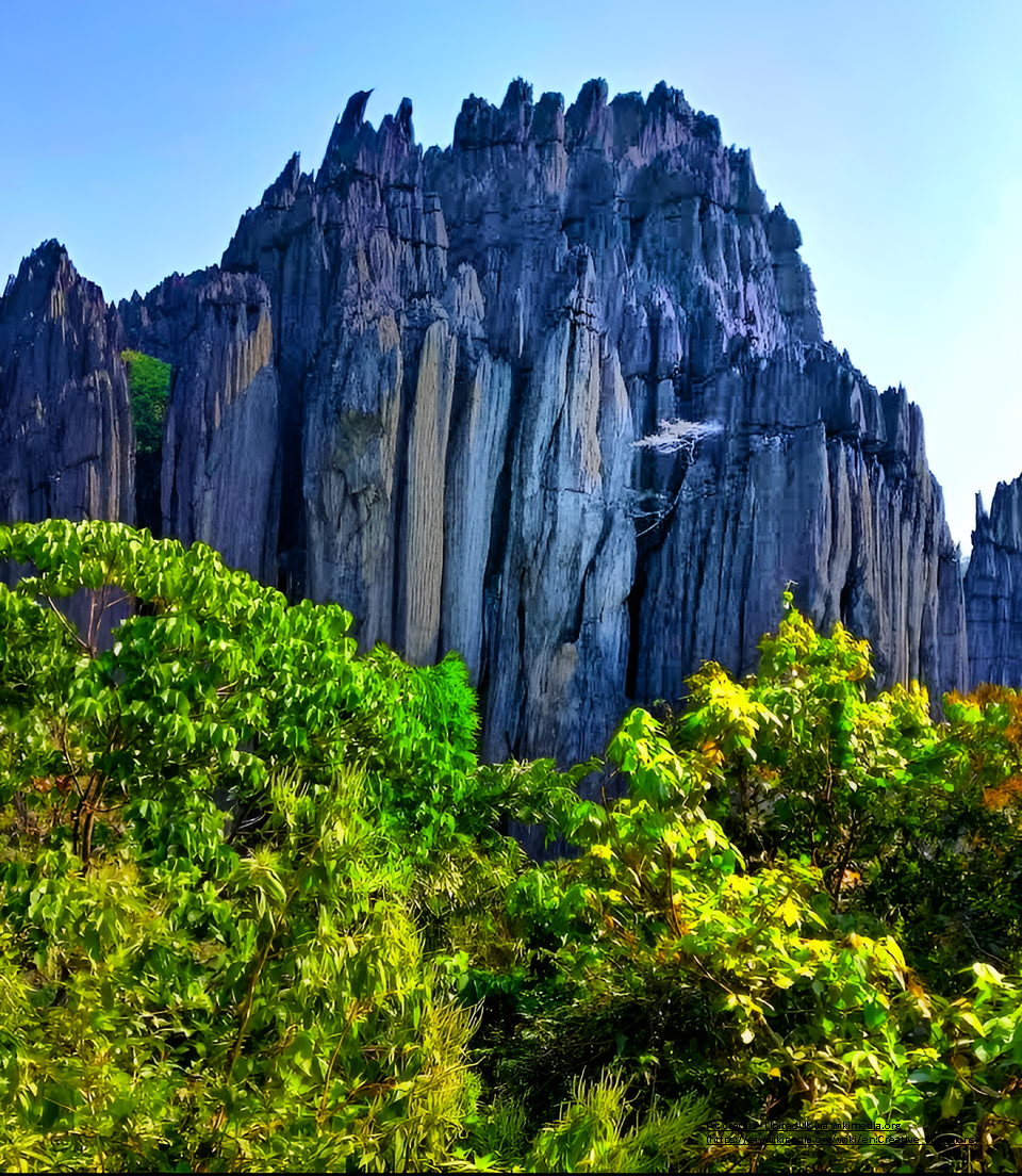 Best Places to Visit in Karnataka: A Complete Guide